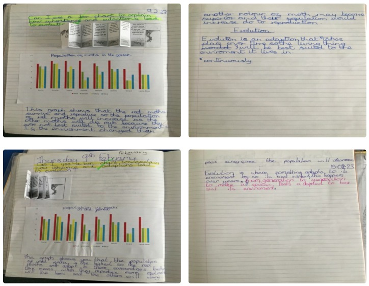 Evolution 1 - Ashfield Junior School : Ashfield Junior School