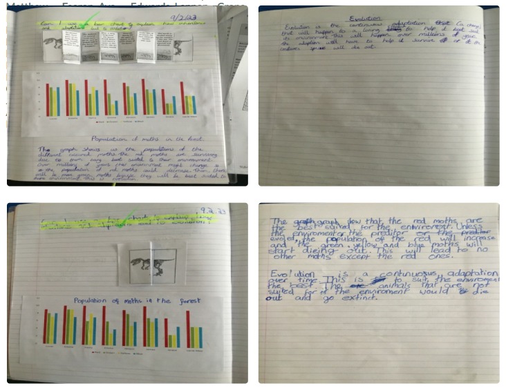 Science - Ashfield Junior School : Ashfield Junior School