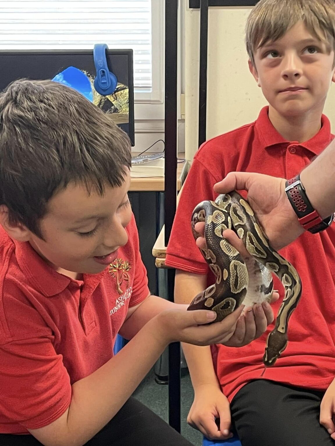 Ashfield Junior School | Workington, Cumbria | Information : Ashfield ...