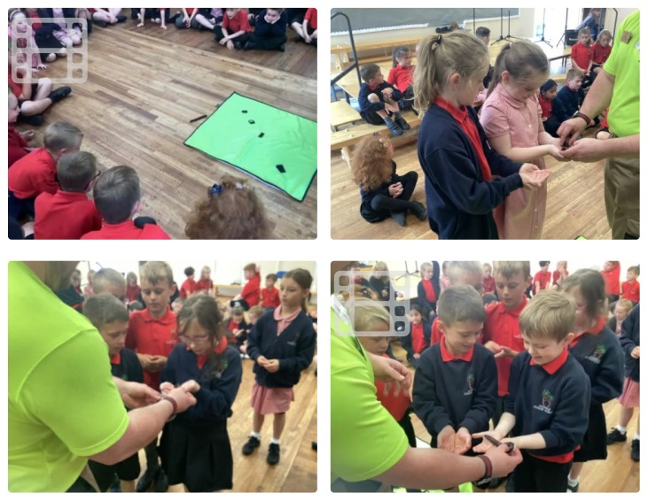 Zoolab 1 - Ashfield Junior School : Ashfield Junior School