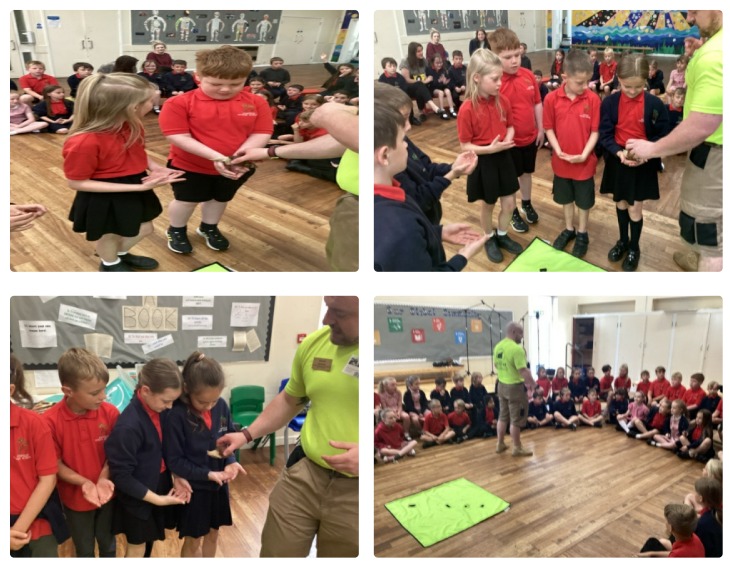 Zoolab 2 - Ashfield Junior School : Ashfield Junior School