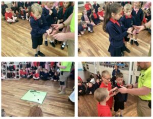 Zoolab 6 - Ashfield Junior School : Ashfield Junior School